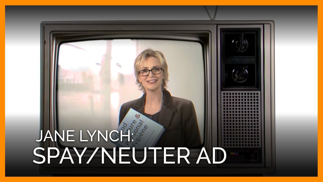 Jane Lynch Spay/Neuter Ad - YouTube