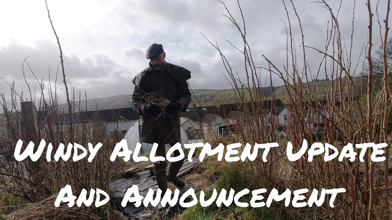 Windy allotment update and Announcement | Allotments For Fun and Food ...