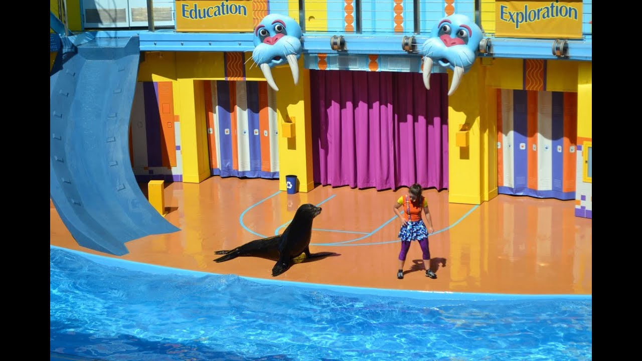 Clyde And Seamores Sea Lion High Show 2015 At Seaworld Orlando Florida