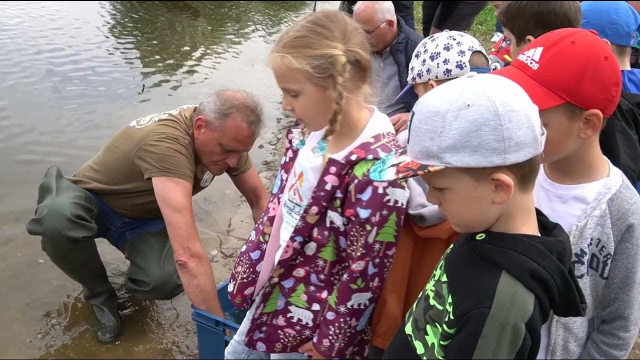 9. edycja 'Pan Karp zarybia Wisłę' rozstrzygnięta! - YouTube