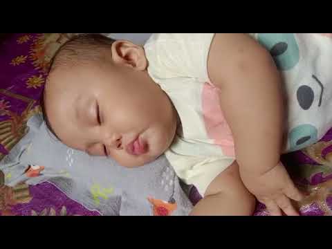 bulat lagi tdur mau nenen