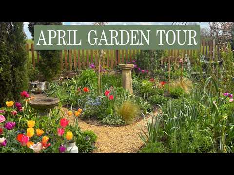 April Cottage Garden Tour - Everything Flowering In Spring