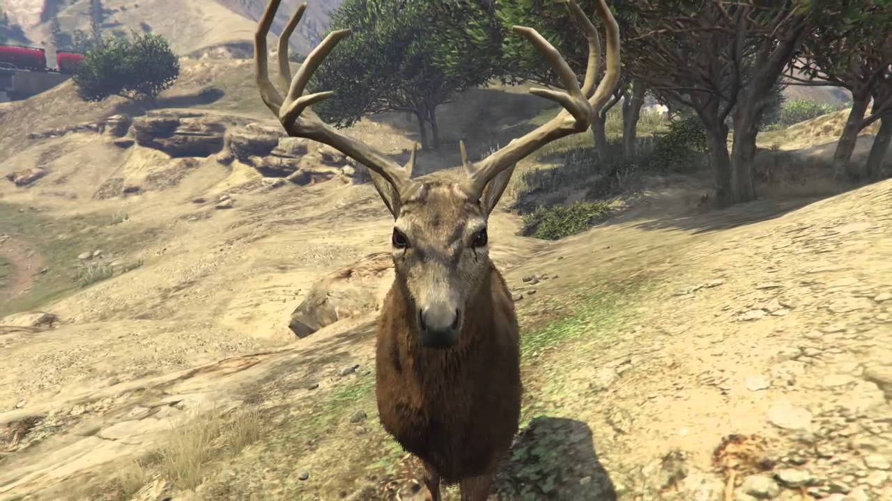 Grand Theft Auto V CERVO - YouTube