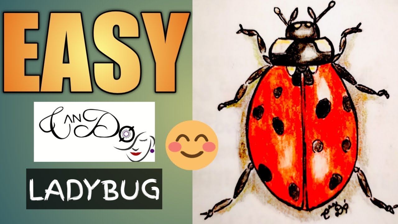 How To Draw A Realistic Ladybug