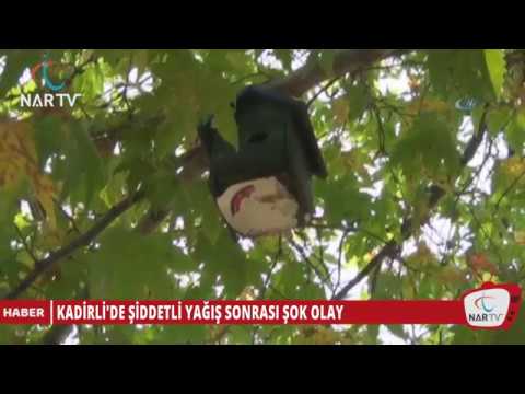 KADİRLİ'DE ŞİDDETLİ YAĞIŞ SONRASI ŞOK OLAY