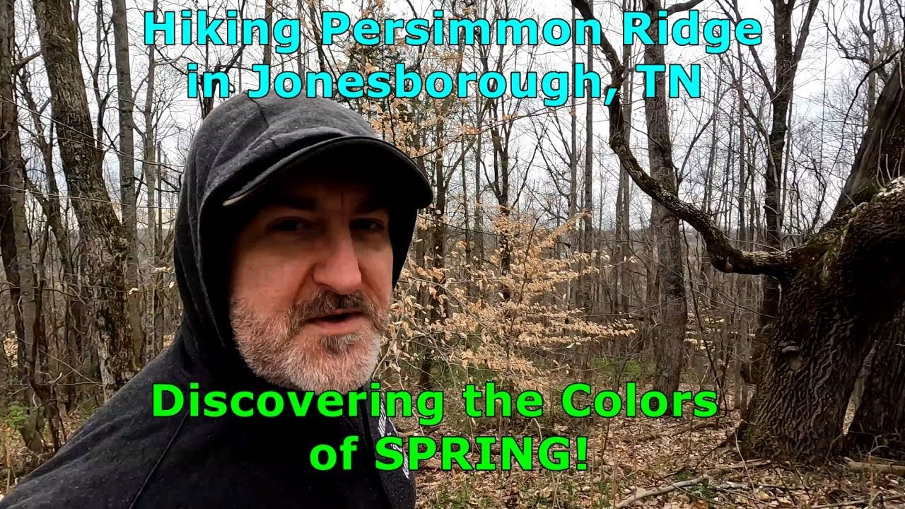 Hiking Persimmon Ridge in Jonesborough Tennessee - YouTube