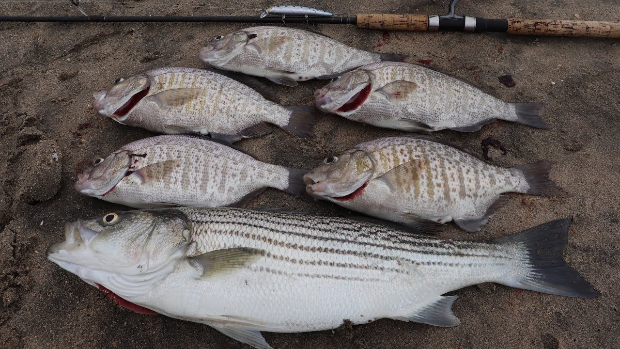 Simple Tip To Catch More Fish in the Surf - YouTube