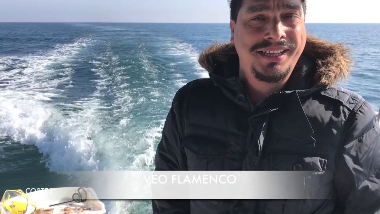 RAMON CORTES POR FANDANGO - YouTube