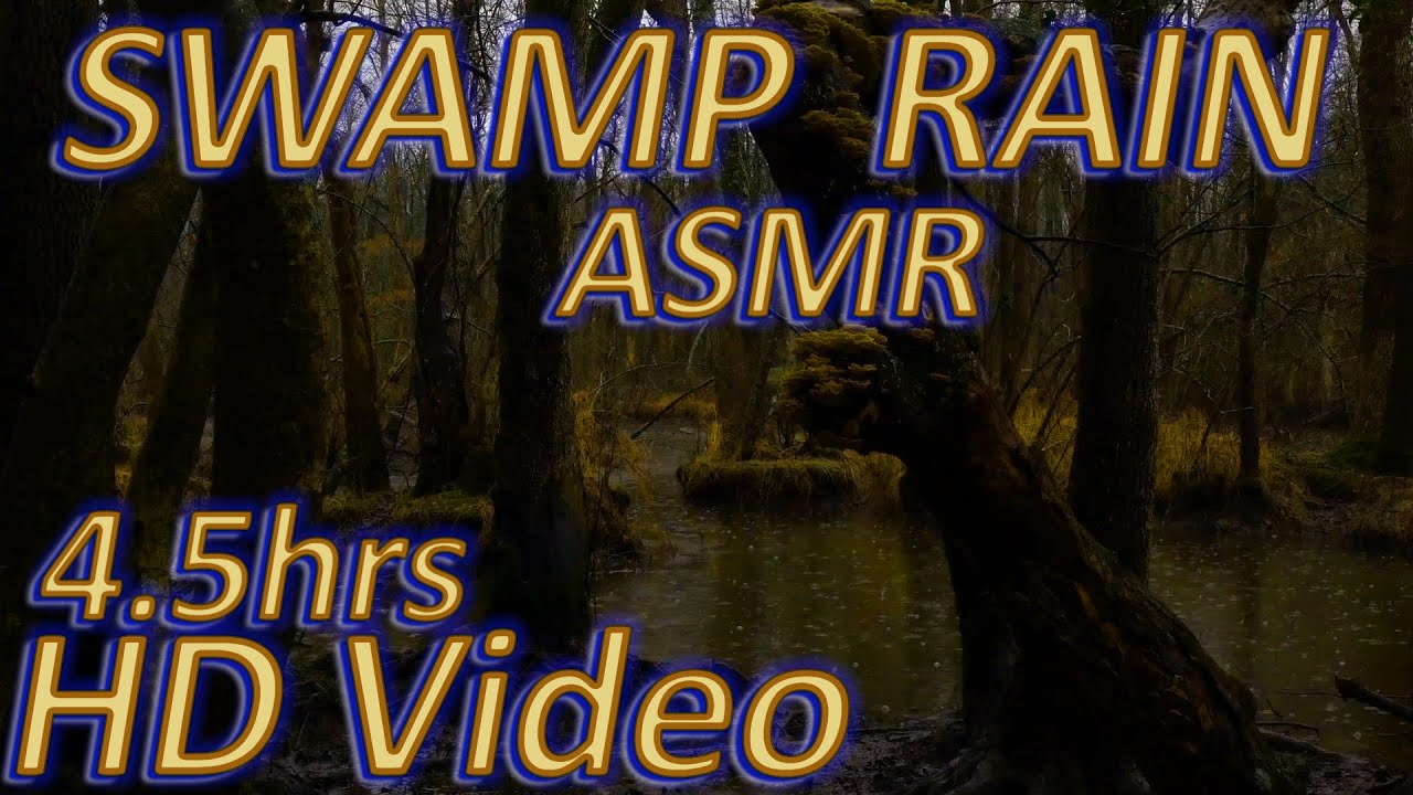 HD Video | 4.5hrs | Gentle Rain in an Autumn Swamp! Swamp ASMR ...