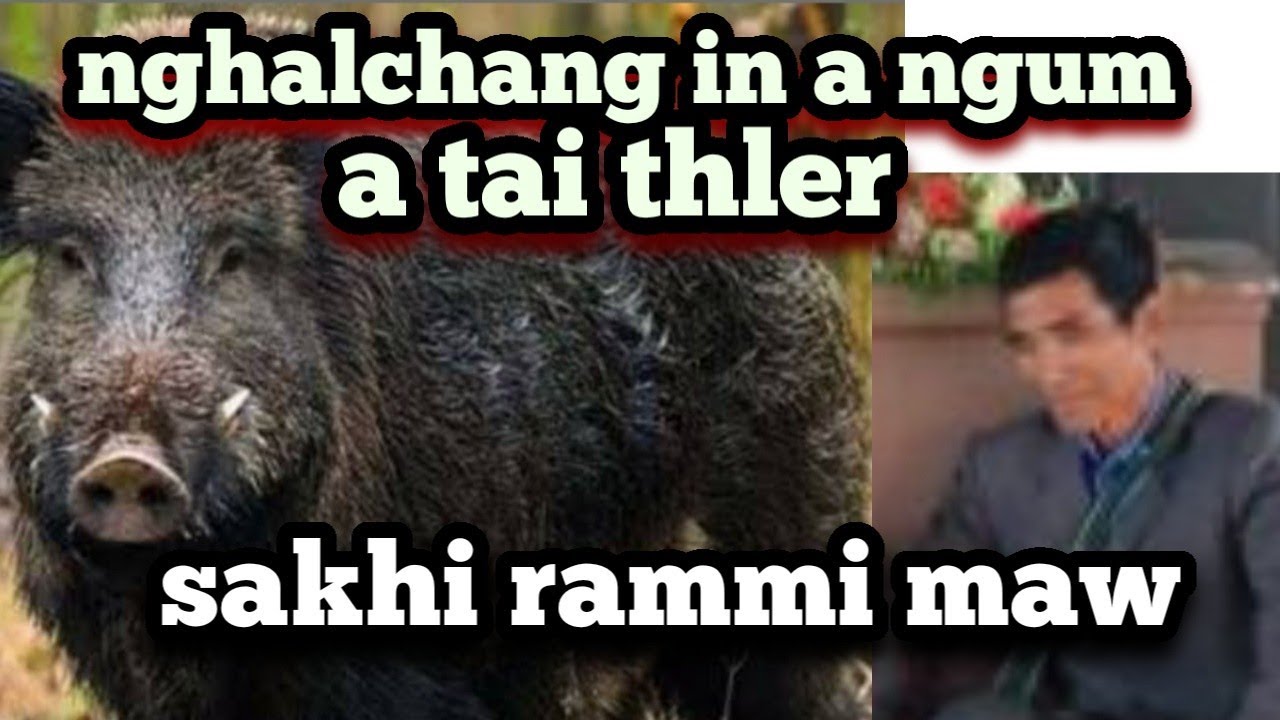 A kawng sanghal in a tai thler Sazuk malsawmna sakhi mak chu B ...