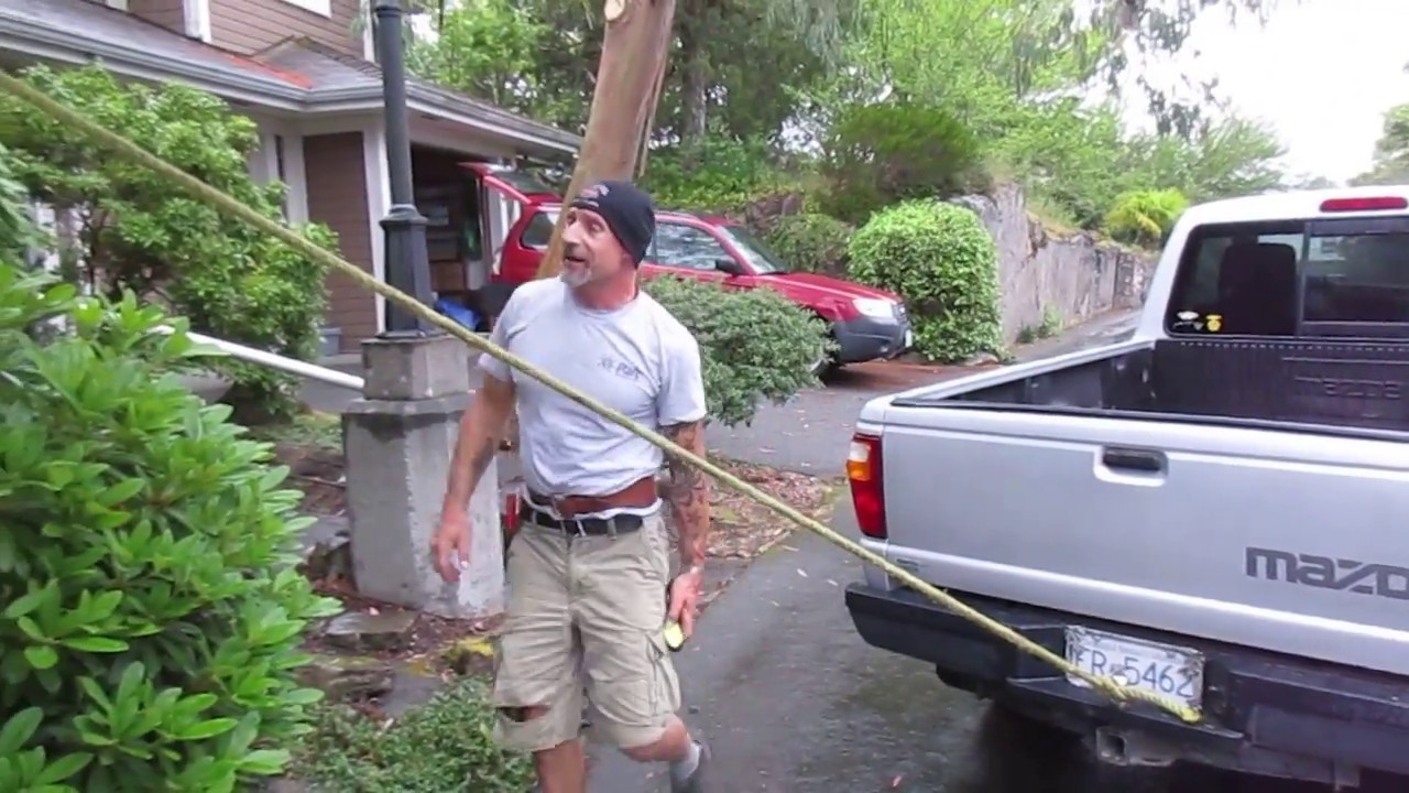 Palm Tree movers part 1 - YouTube