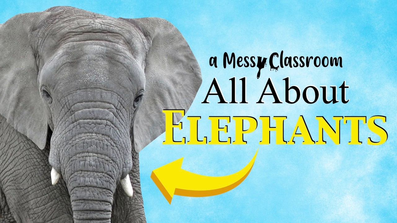 Mind-Blowing Facts All About the Elephant | Secrets of Pachyderms ...