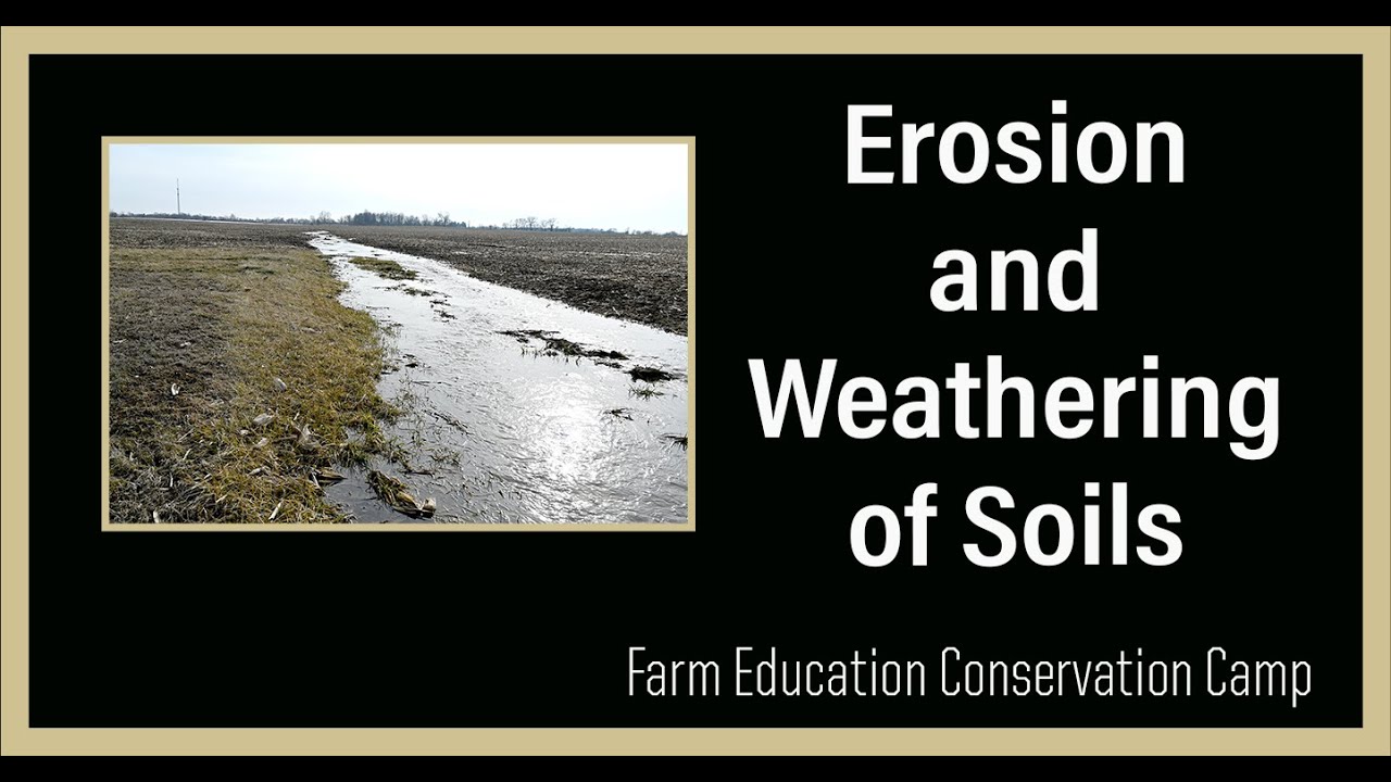 Erosion and Weathering of Soils - YouTube