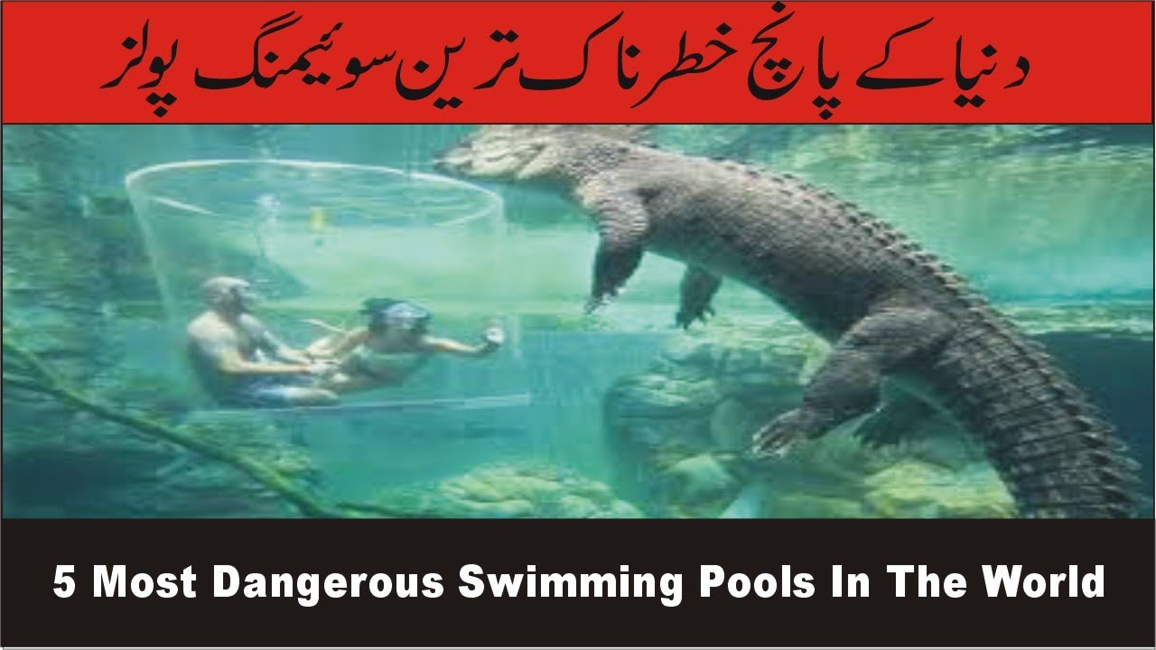 5 Most Dangerous Swimming Pools In The World - YouTube