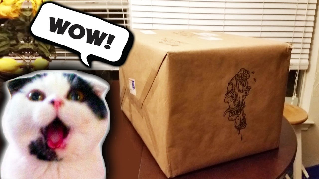 HOLY S*!)!! (((EPIC Unboxing!))) Real Life Perk Machine Replica - YouTube