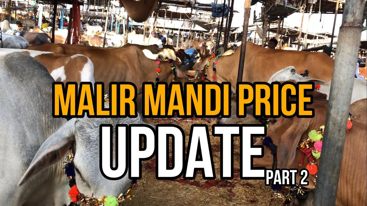 malir mandi price update( part 2 ) - YouTube