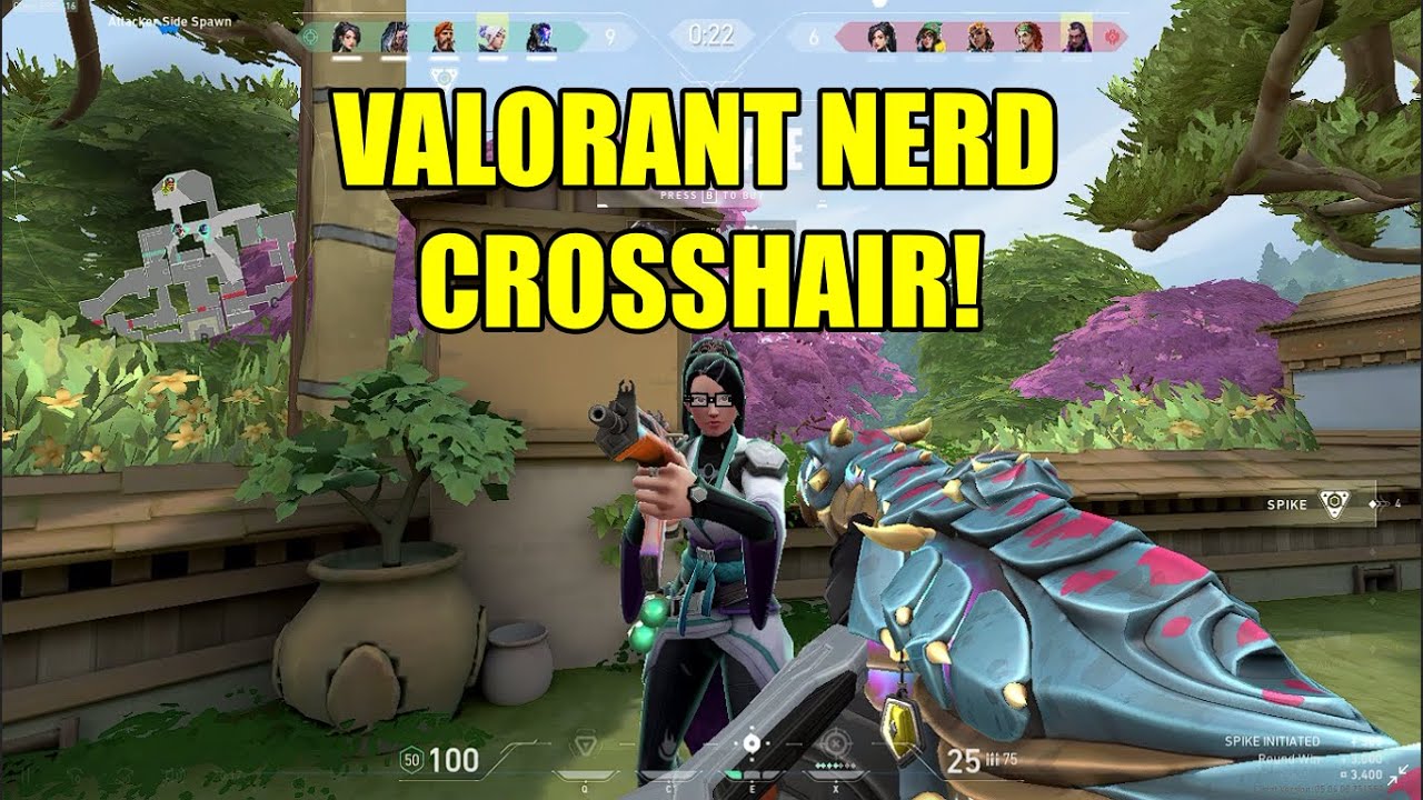 VALORANT NERD CROSSHAIR - YouTube