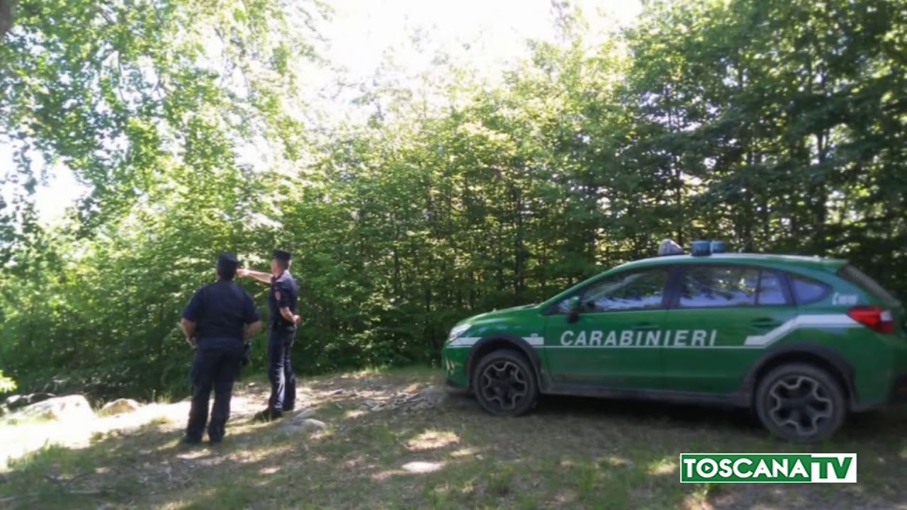 2020-05-28 PISTOIA - CARABINIERI FORESTALI SALVANO ALCUNI ANIMALI - YouTube