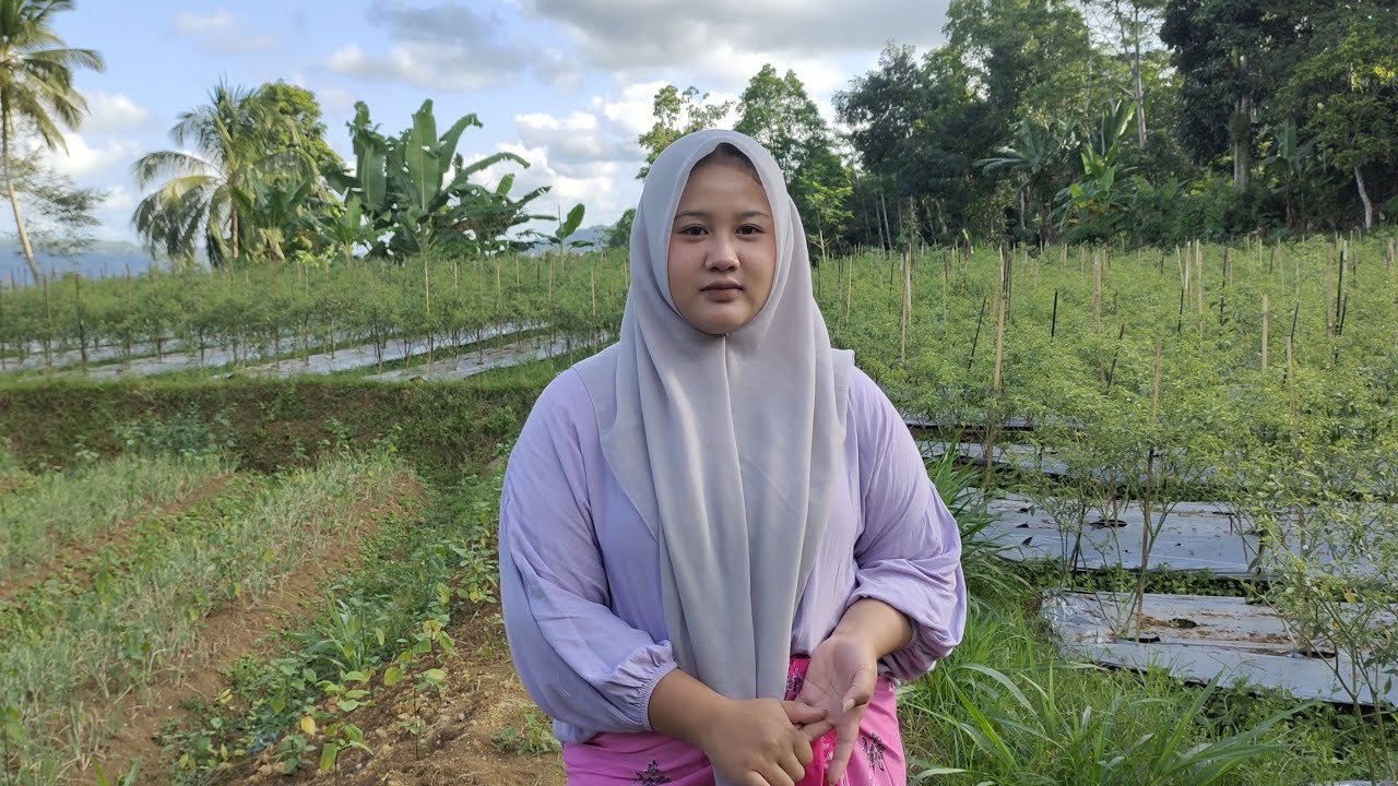 Gadis Jawabarat! Aktivitas Sehari-hari Gadis Desa Suku Sunda, Neng Seli Gadis Montok Serba Bisa ...
