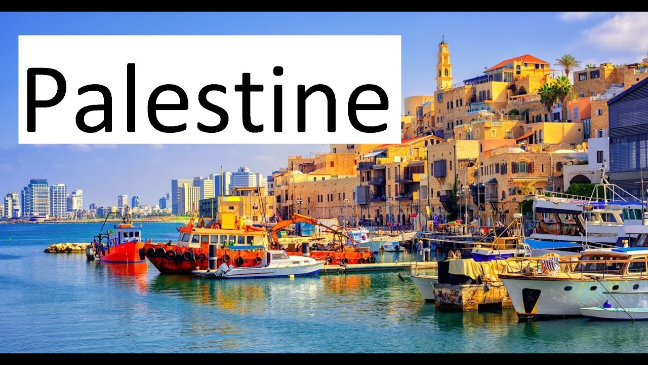 The beauty of Palestine #موطني - YouTube