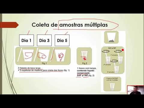 Exame Parasitológico de Fezes EPF comparação dos métodos e técnicas ...