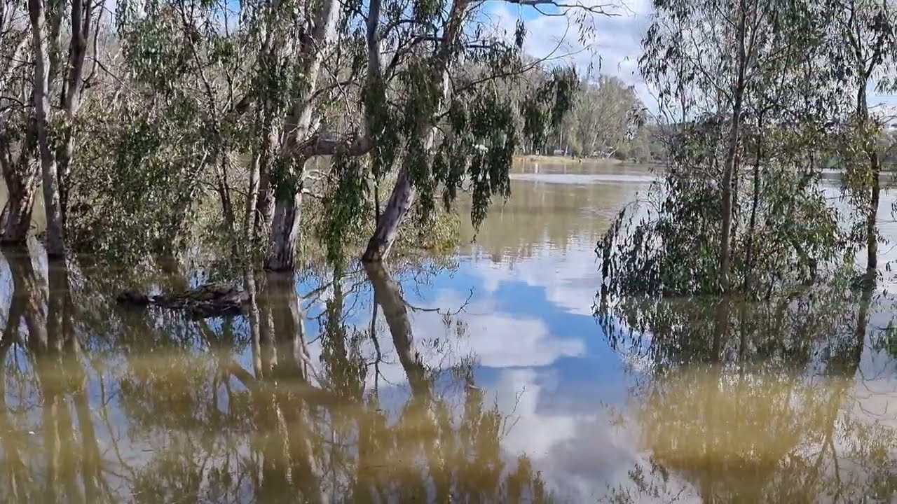 Murray River Tocumwal Australia - YouTube