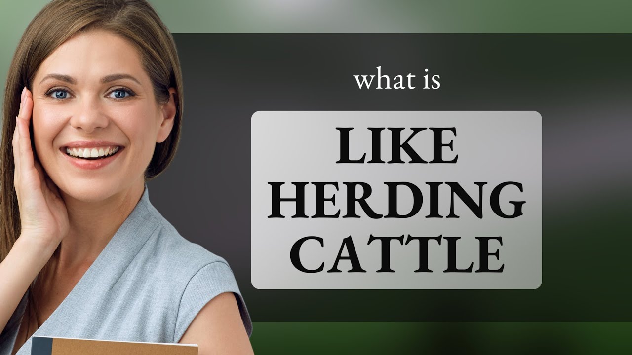 Understanding "Like Herding Cats": A Guide to English Idioms - YouTube