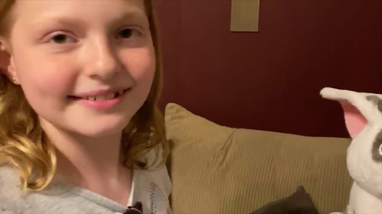 Petopia Commercial - YouTube