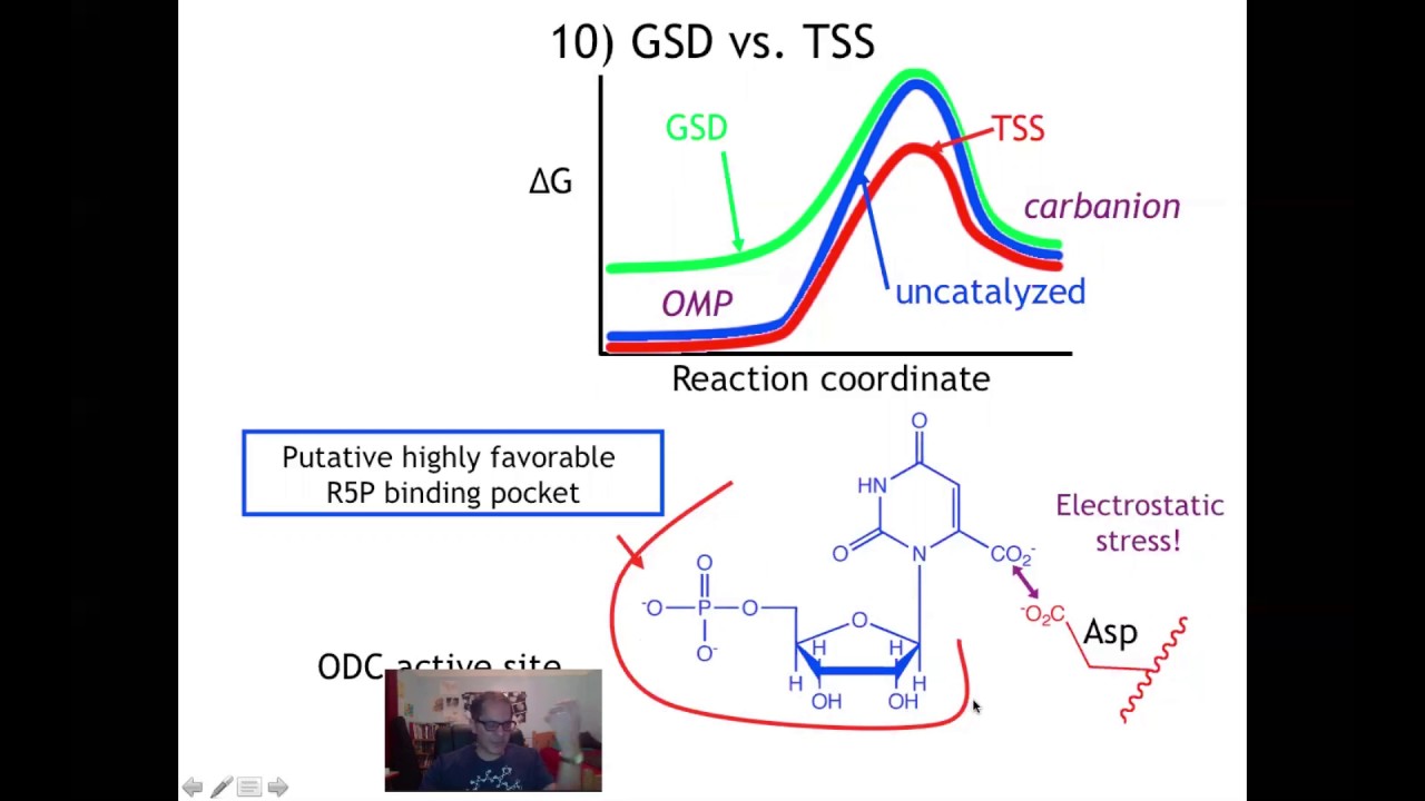 One of the world's best enzymes-part 3 - YouTube