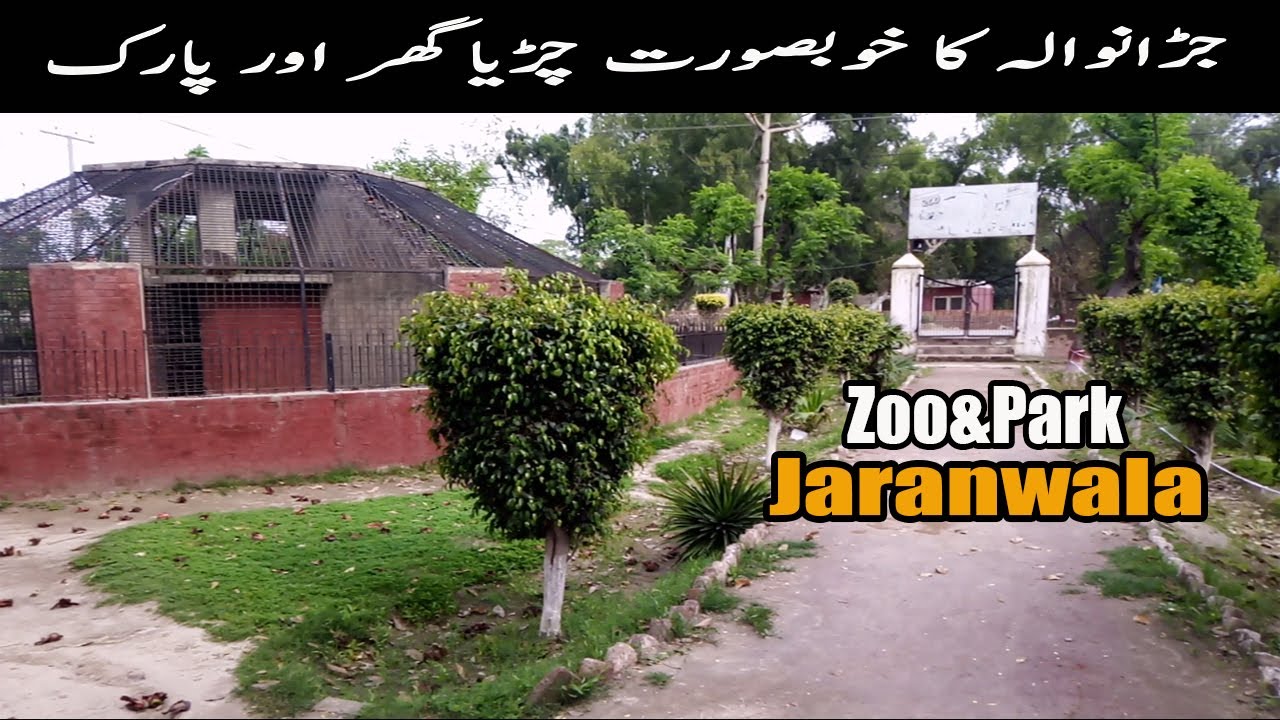 Beautiful Zoo in Pakistan Jaranwala Park 2020 By Muhmmad Sohail Vlog ...