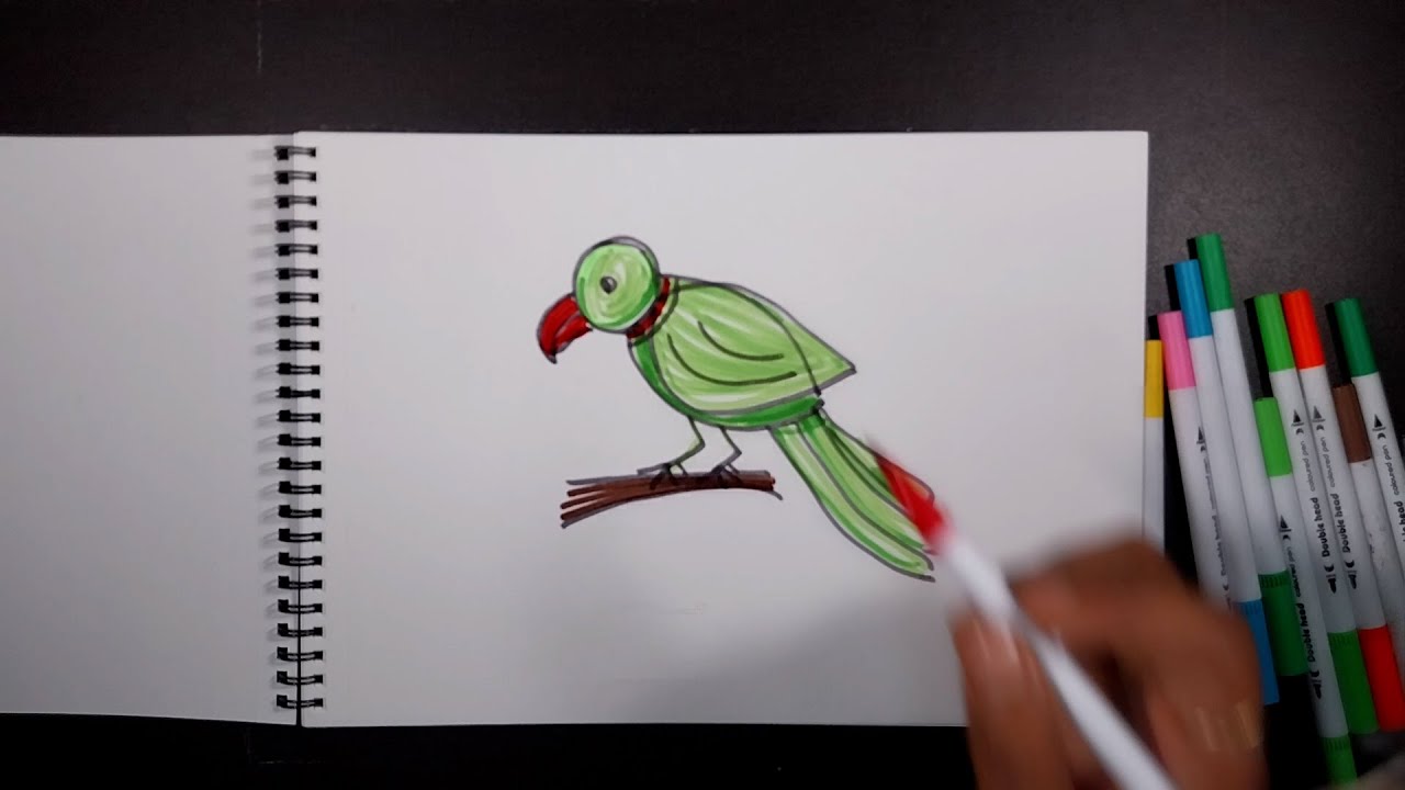 How to draw a perrot for very beginners, drawing tutorial step by step ...