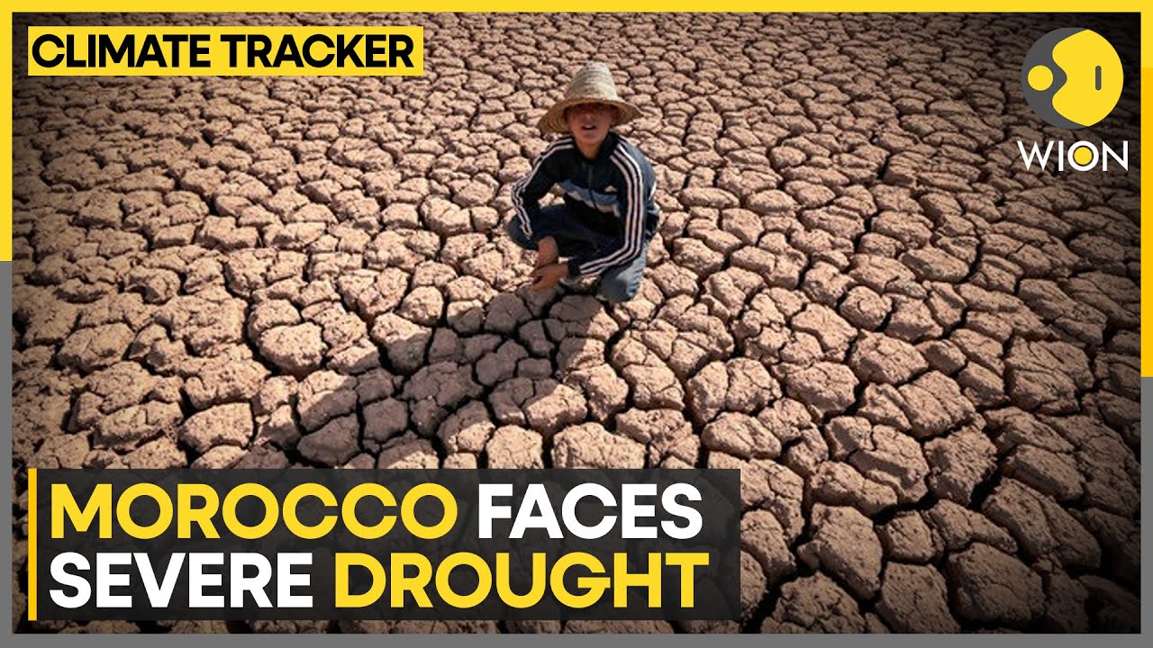 Morocco grapples with its sixth consecutive year of drought | WION ...