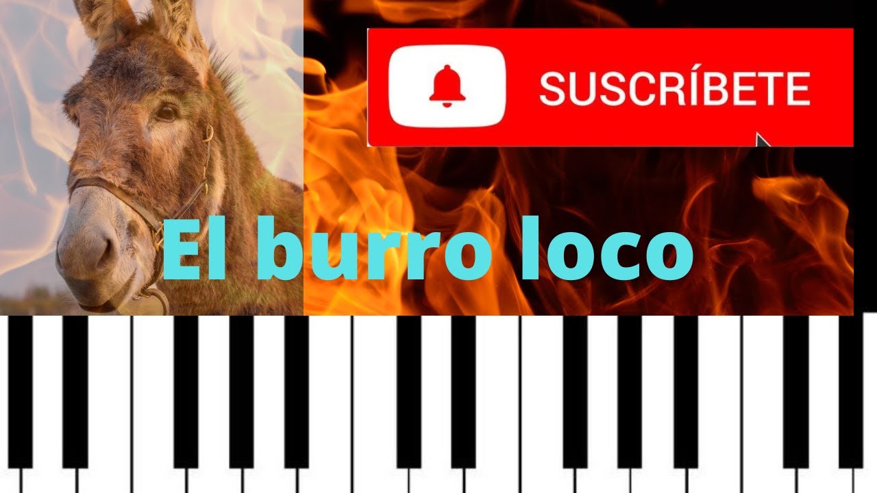 El burro loco TUTORIAL 🎹 al estilo RAYOS DE OAXACA - YouTube