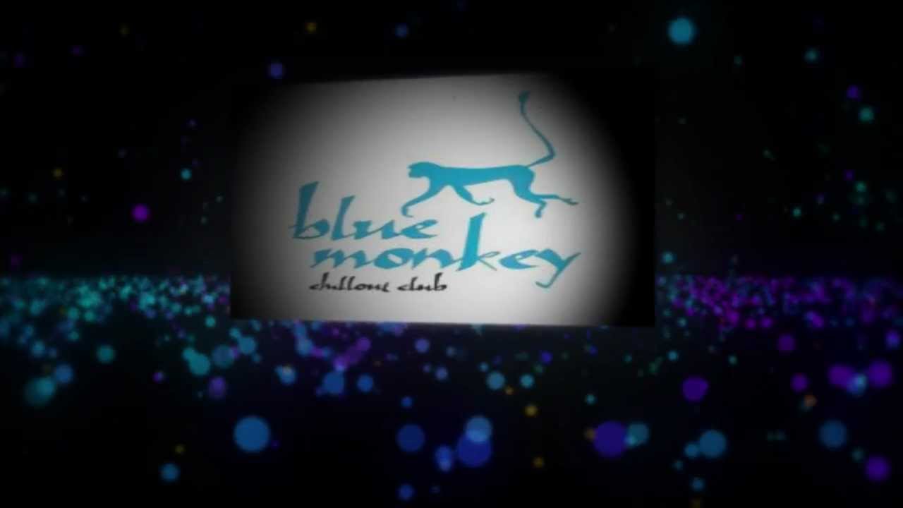 Spot Blue Monkey cafe copa - YouTube