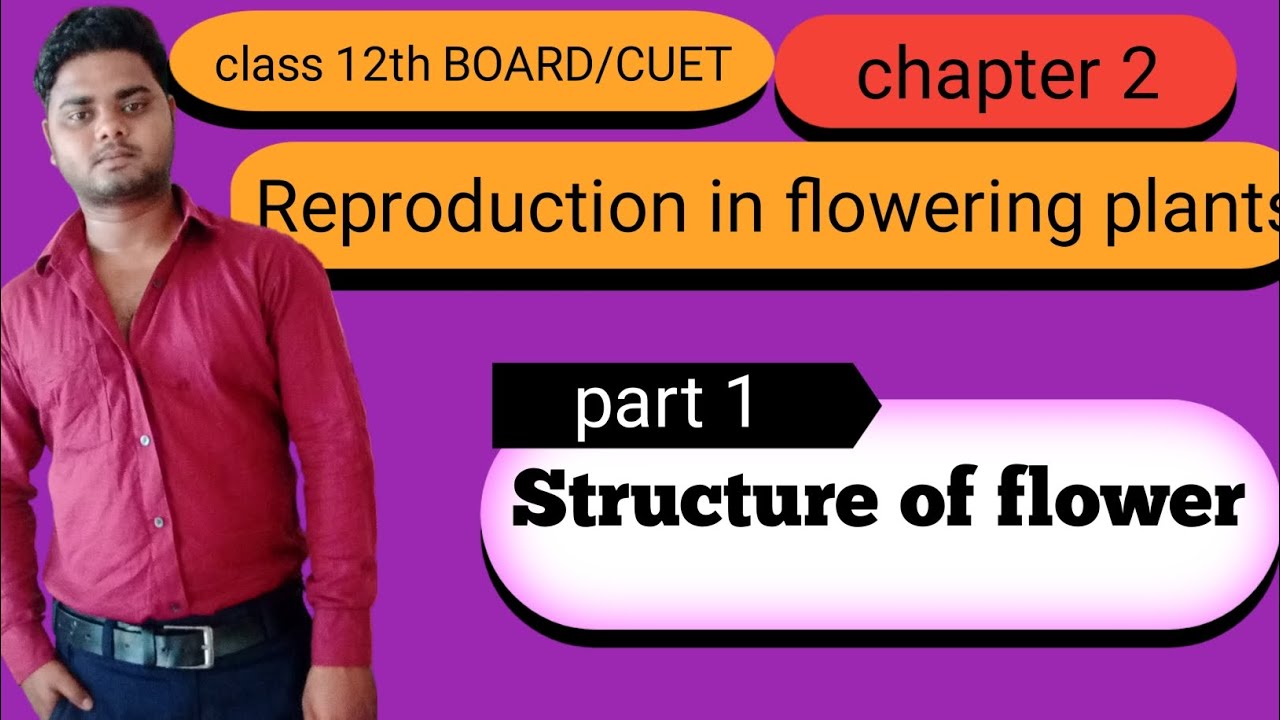 Structure of flower/ pushp ki sanrachna - YouTube