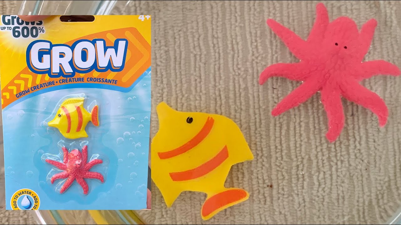 MAGIC GROW CREATURE | OCTOPUS & FISH | GROW UP TO 600% - YouTube