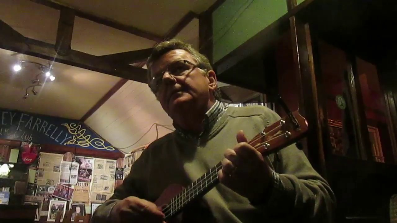 Seán Fegan performs his own song "I Guess your guess is as good as mine ...