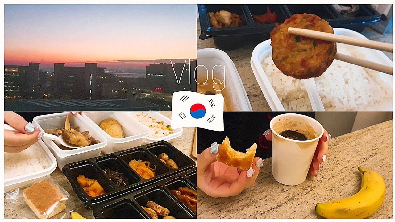 Korea vlog #2 🇰🇷daily quarantine food mukbang 🍱 - YouTube