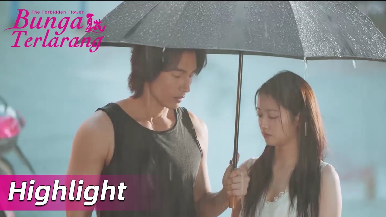 Highlight EP01 Xiao Han memayungi He Ran, manisnya! | The Forbidden Flower | WeTV【INDO SUB ...