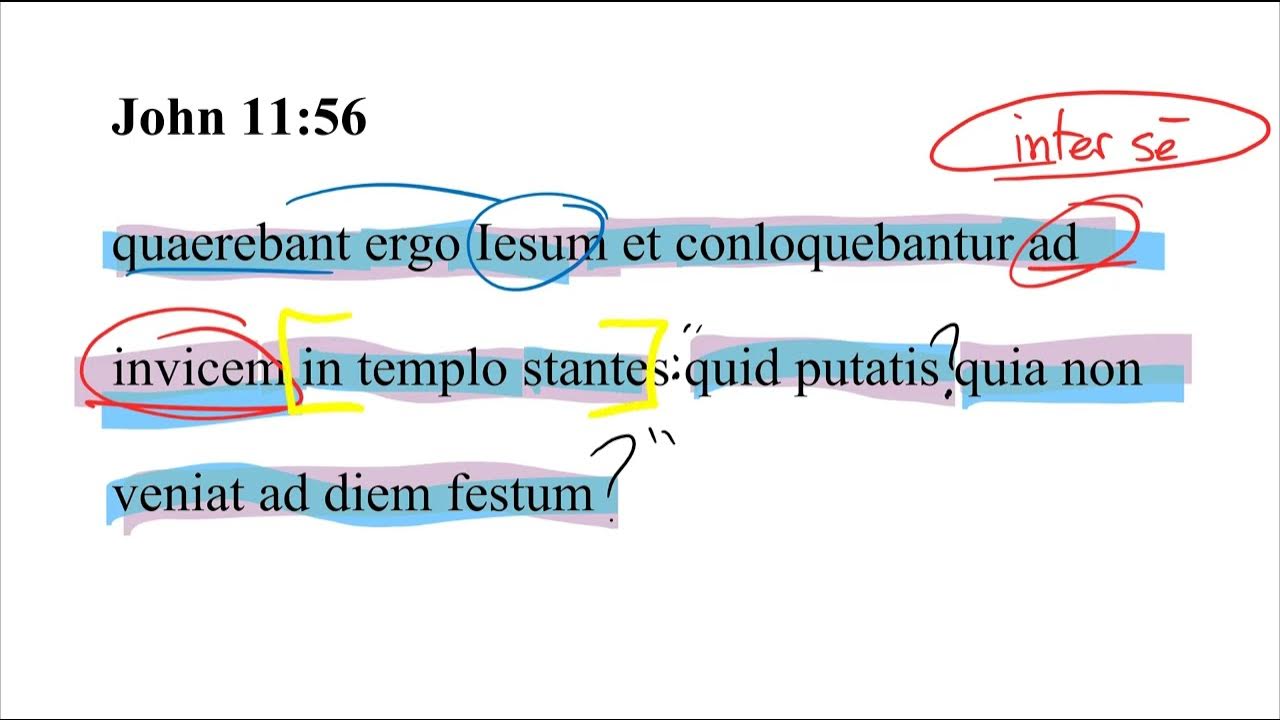 John 11:56 Latin Vulgate - YouTube