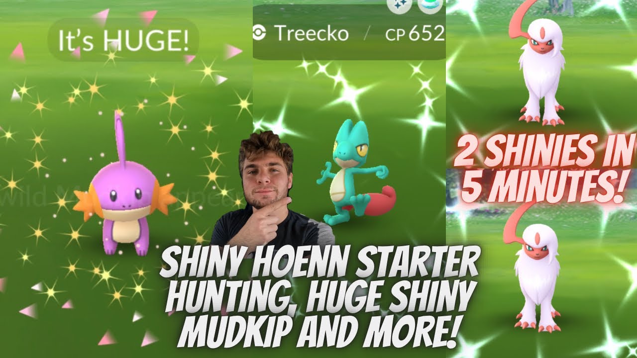 Shiny Hoenn Starter Hunting, Huge Shiny Mudkip and More in Pokemon Go ...