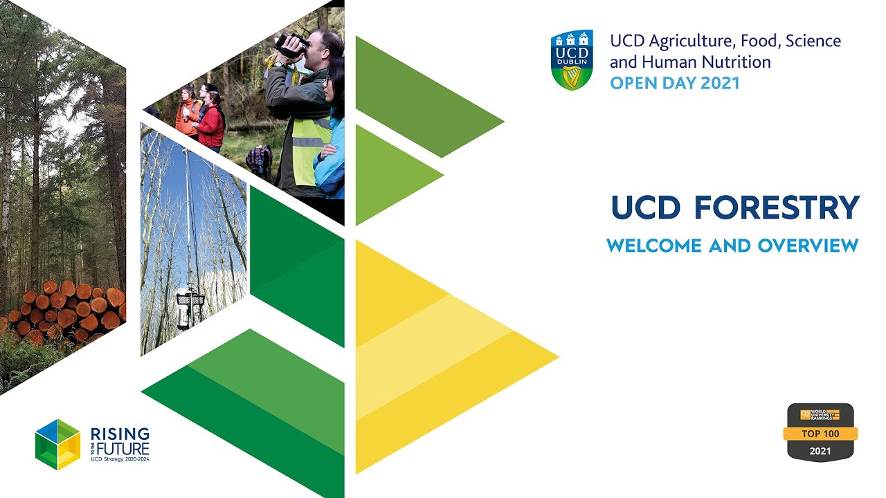 UCD Forestry - Open Day 2021 - YouTube
