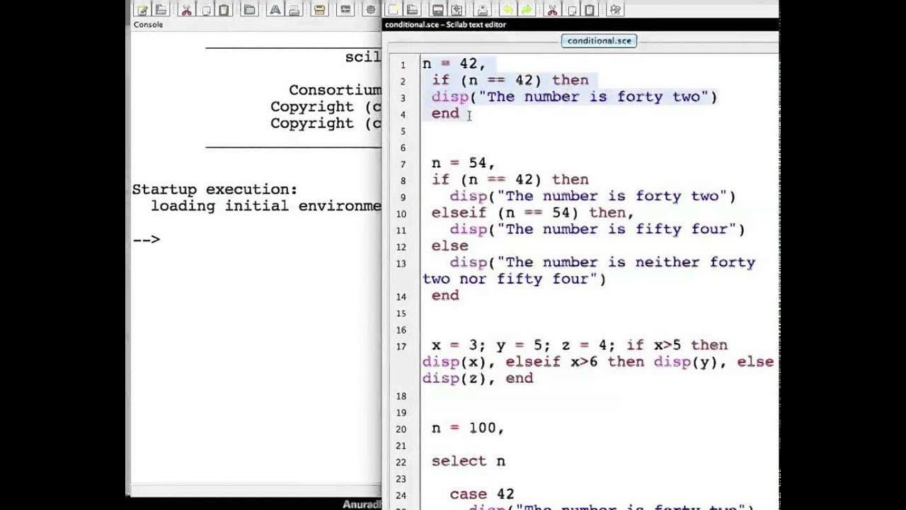 Conditional Branching - English - YouTube
