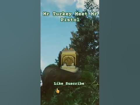 Mr Turkey Meet Mr Pistol #shorts #gaming #hunting #hunter #fps # ...