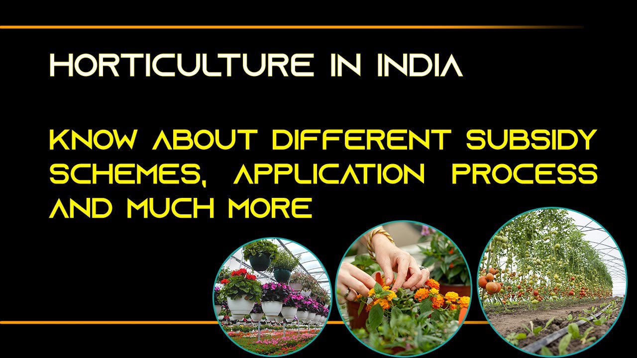 INFORMATION 8 : Horticulture in India – Different Subsidy Schemes ...