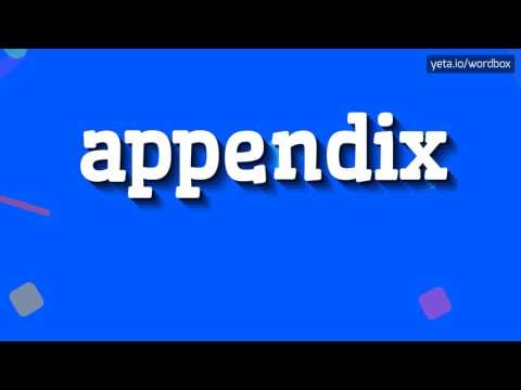 APPENDIX - HOW TO PRONOUNCE IT!? - YouTube