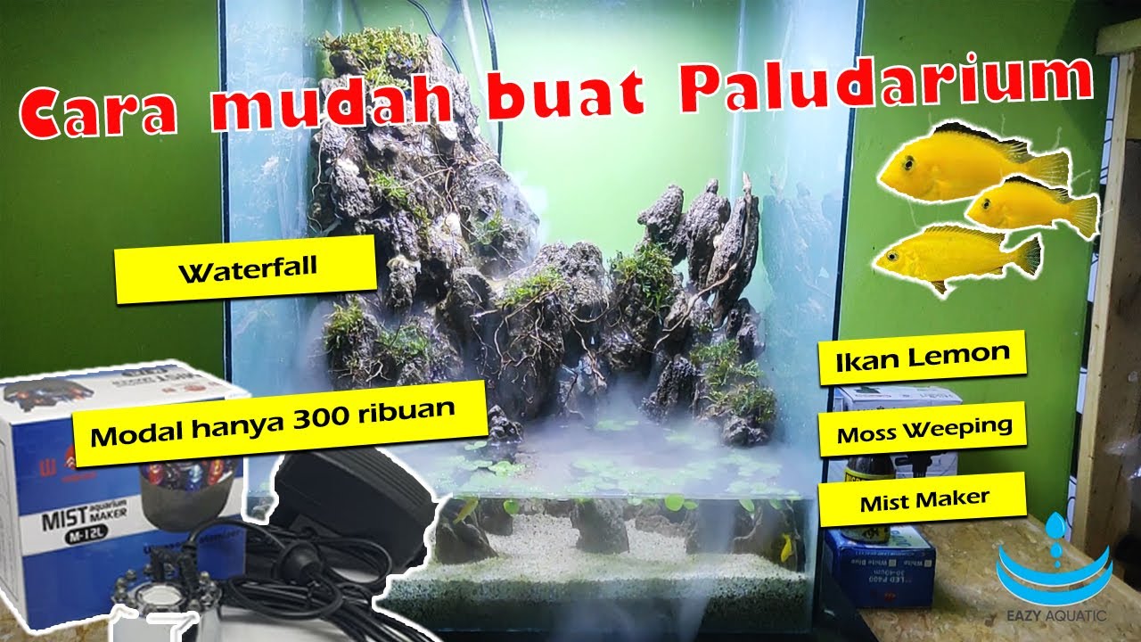 Paludarium Waterfalls dengan Mist Maker - YouTube