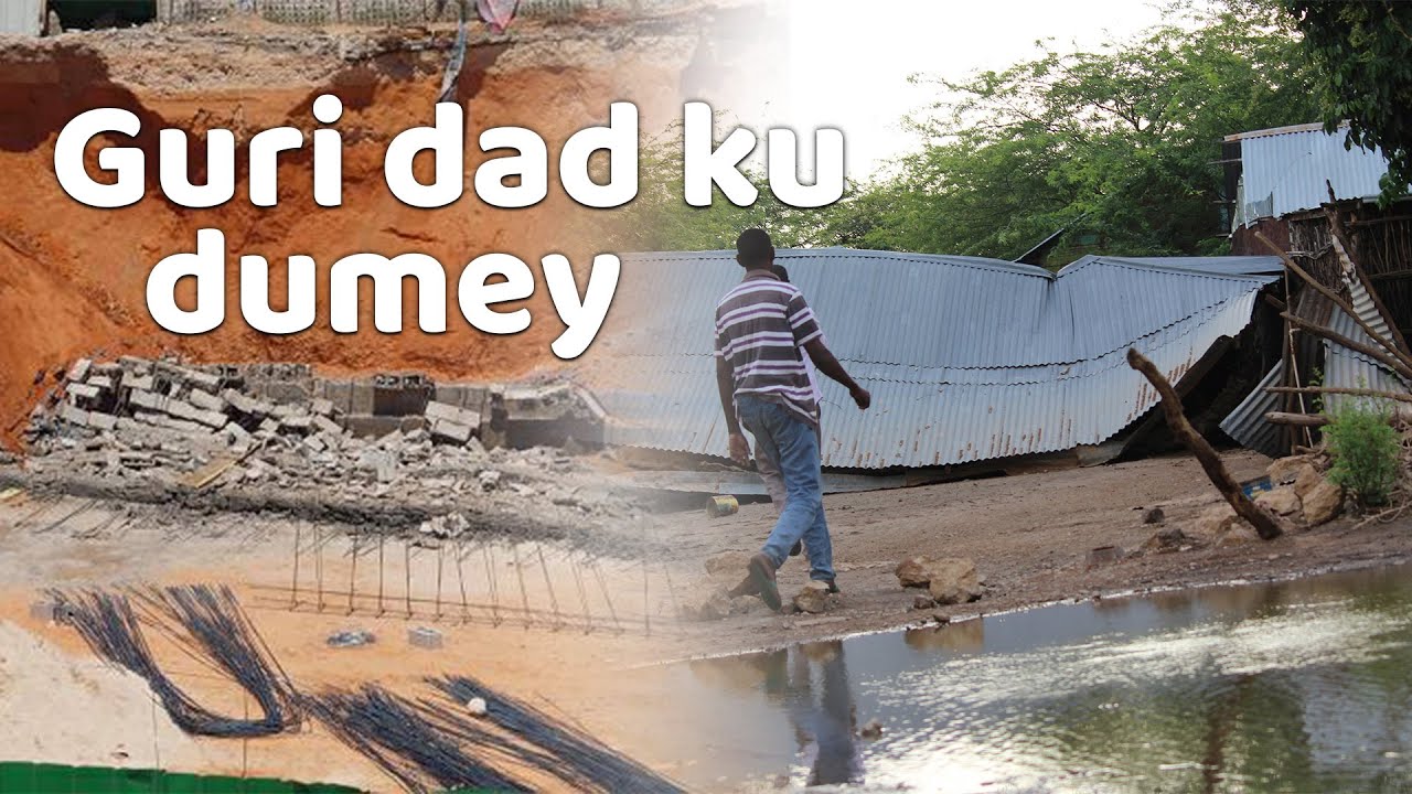 Dad waxyeelo ka so gartey Guri ku dumey. - YouTube