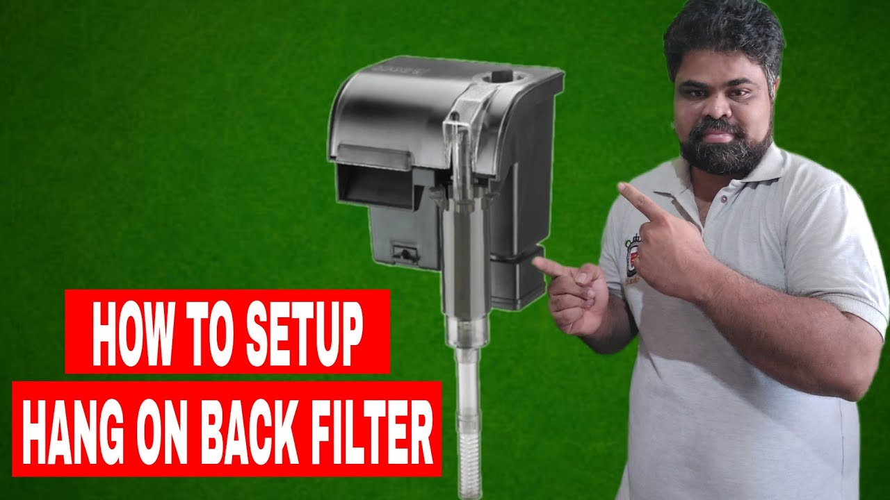 How To Setup Hang On Back Filter On Aquarium | Live Planted Aquarium ...