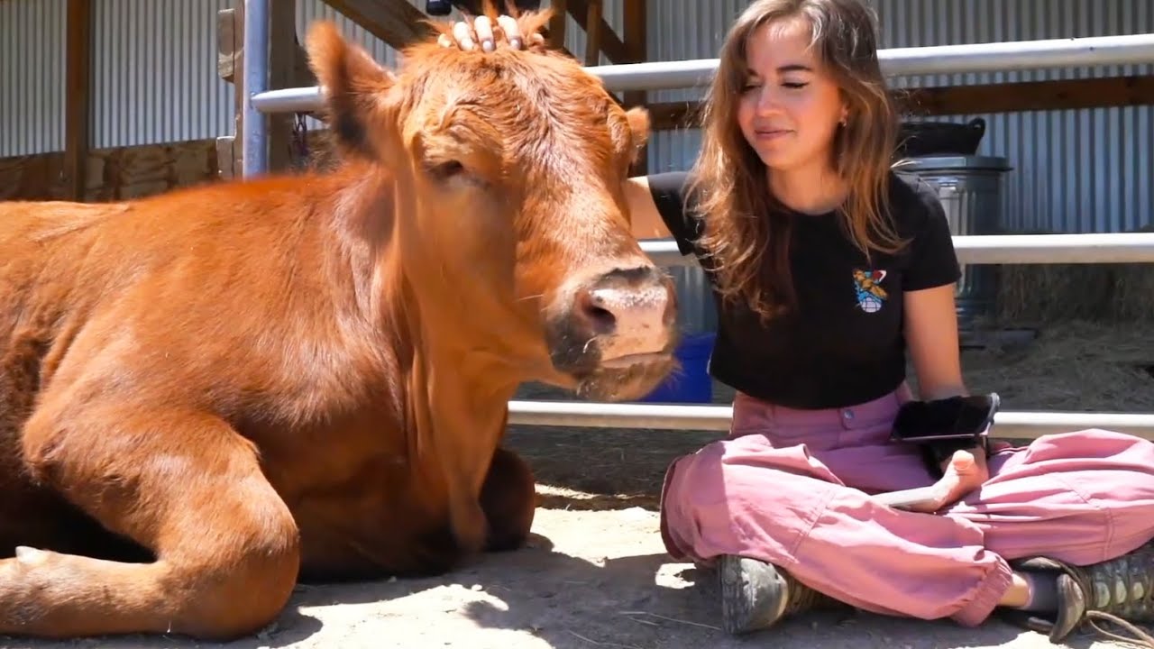 Maya cuddles with Winnie at Alveus - YouTube